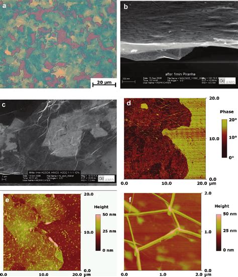 Surface Morphology Of The Produced Layers A Optical Microscope Download Scientific Diagram