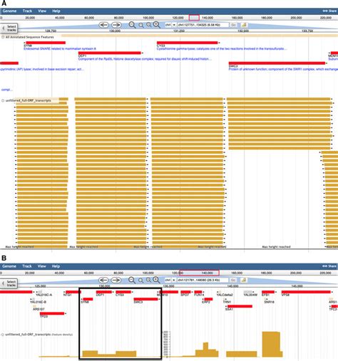 Unfiltered Transcript Isoforms That Overlap Orfs Displayed At Various Download Scientific