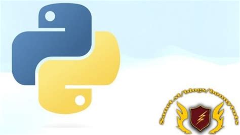 Python For Everybody A Guide To Master Python Fundamentals Softarchive