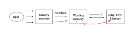 psyc 260 learning and memory flashcards quizlet