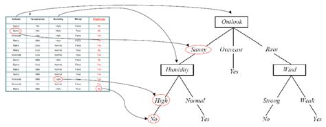 2 Finding A Binary Tree Classification Guided By Attributes And Their