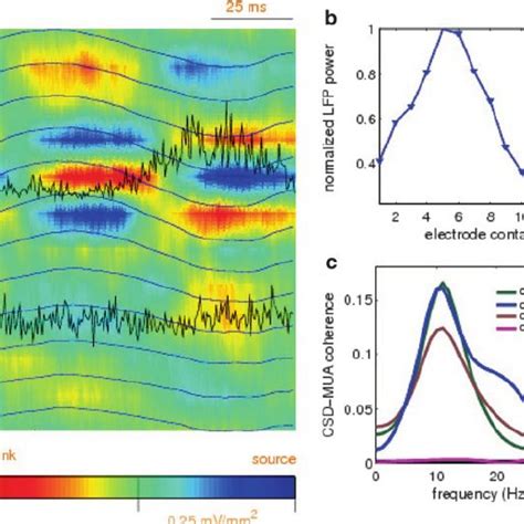 Effect Of Prestimulus Alpha Oscillation On Stimulus Evoked Response