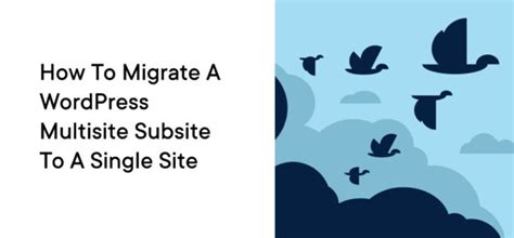 How To Migrate A Woocommerce Multisite To A Single Wordpress Store Wp Mayor