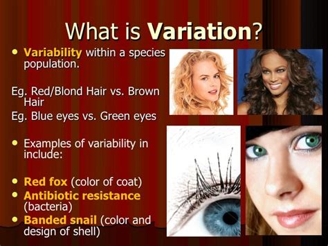 Science 9 Unit A Biological Diversity Section2 Lesson Variation
