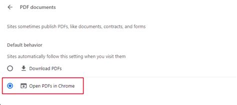 PDF Not Opening in Chrome Browser | 8 Solutions