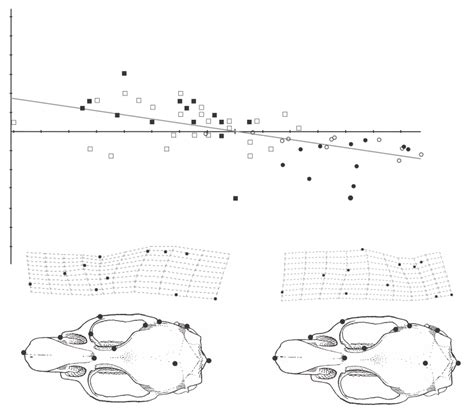 Plot Of Centroid Size Versus A Non Affine Shape Component 7y