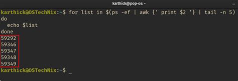 Bash Scripting Bucle For Explicado Con Ejemplos Muylinux