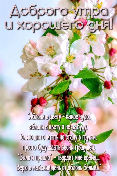 ДОБРОЕ УТРО 💖🌸🦋💐🌺🌿🦋🌸 ПРЕКРАСНОГО ДНЯ 💖
