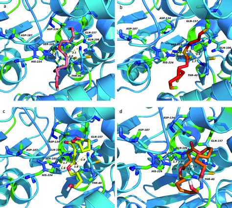 Key Hydrogen Bonds Analysis Of Ligands Top Ranking Conformations