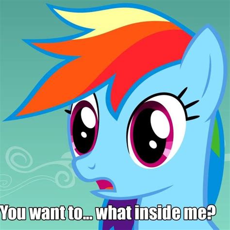 Mlp Fim Rainbow Dash Meme Mlp Fim Rainbow Dash Meme
