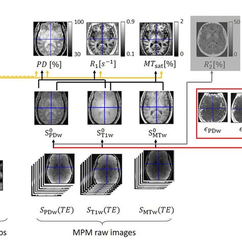 From Raw Data To Parameter Maps Bottom Row The Multi Parameter Download Scientific Diagram