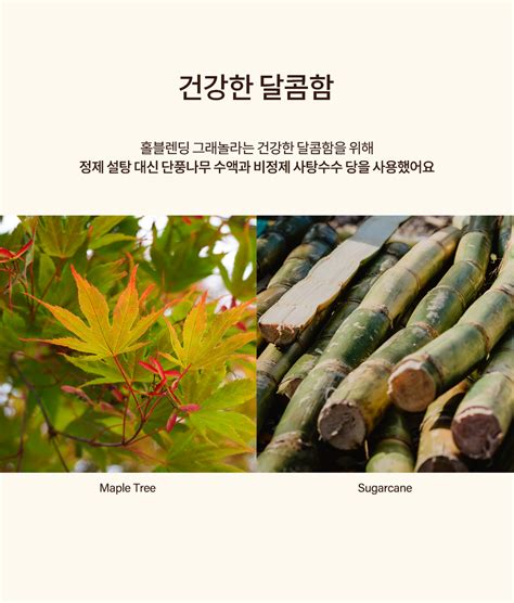 홀블렌딩 수제 그래놀라 150g 6회분량 감도 깊은 취향 셀렉트샵 29cm