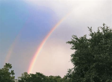 The Symbolic Significance Of The Double Rainbow In The Bible John