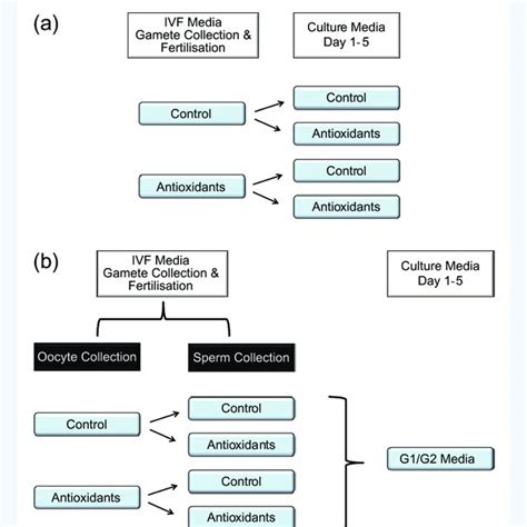 experimental design 1a experimental design for the analysis of