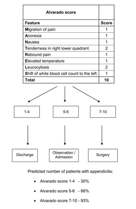 Appendicitis Causes Symptoms Diagnosis And Treatments Healthproadvice