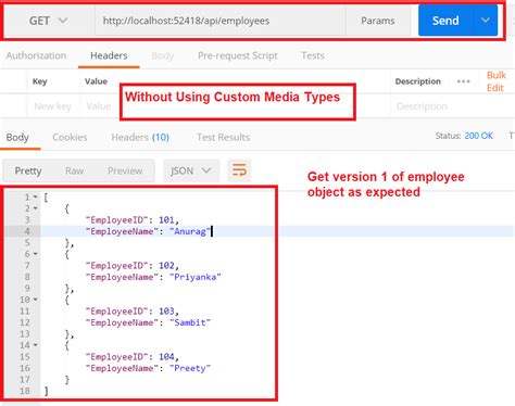 Web Api Versioning Using Custom Media Types Dot Net Tutorials