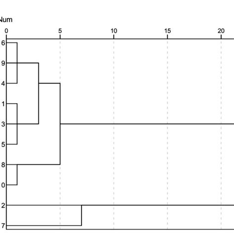 Spatial Hierarchical Cluster Analysis Download Scientific Diagram