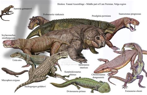 Ilinskoe Faunal Assemblage By Dibgd On Deviantart Prehistoric Animals