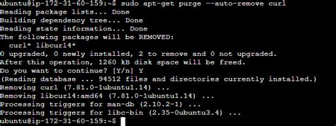 How To Install Curl On Ubuntu 2204 Cherry Servers
