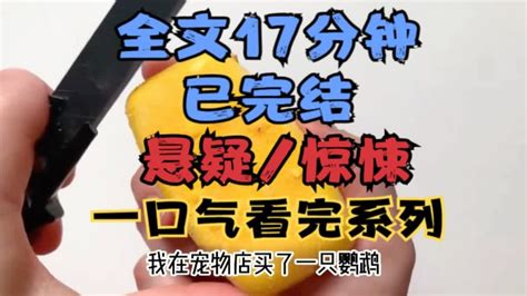 全文已完结请放心观看高分悬疑小说全文 分钟一更到底一口气看完系列 YouTube