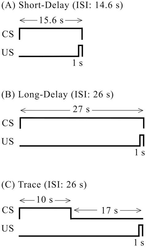 A Short Delay Conditioning B Long Delay Conditioning C Trace Download Scientific