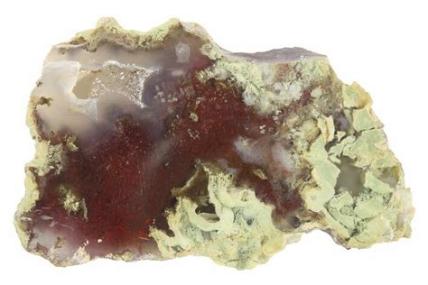 2 6 polished colorful moss agate java indonesia 271513 for sale