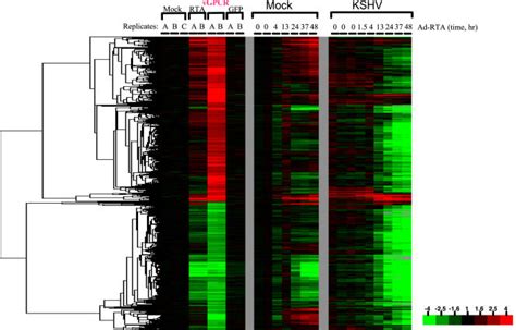 Microarray Data In Figures And Were Linked Clustered Data Are Download Scientific Diagram