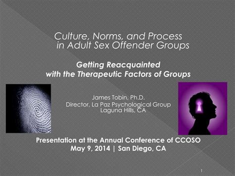 Culture Norms And Process In Adult Sex Offender Groups Getting Reacquainted With The