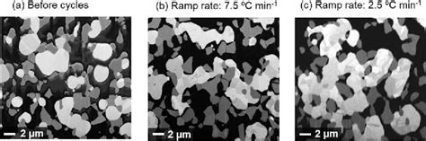 Figure 1 From Microstructural Evolution Of Ni Ysz Cermet Anode Under