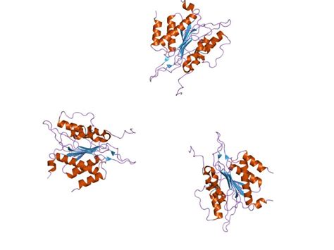 Deoxyribonuclease Ecori Deoxyribonuclease Ssoi Dna Restriction Enzyme