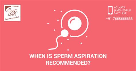 Trying To Conceive When Is Sperm Aspiration Recommended