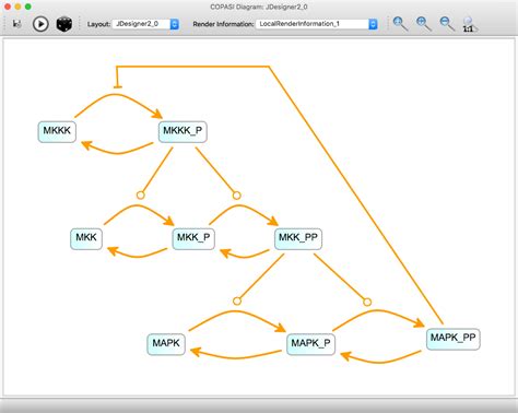 Copasi Support User Manual Diagrams