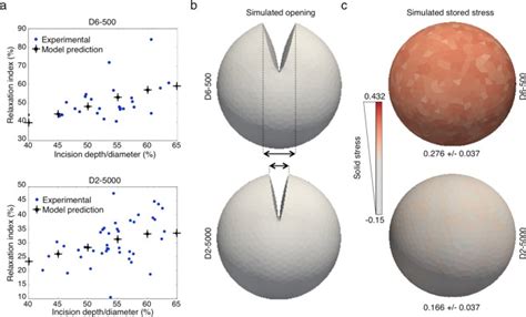 Characterization Of The Physical Properties Of Tumor Derived Spheroids Reveals Critical Insights