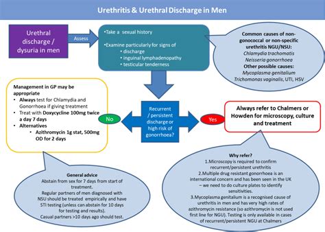 Urethritis And Urethral Discharge In Men Refhelp