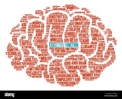 Executive Brain Function