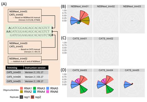 Use Of Incorrect Adapter Sequence Or Trimming Protocol Can Lead To Download Scientific Diagram