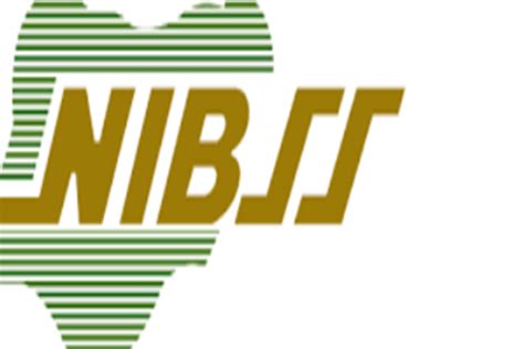 Nibbs Tough Stance On Fintechs…what It Means For Banks The Nation Newspaper
