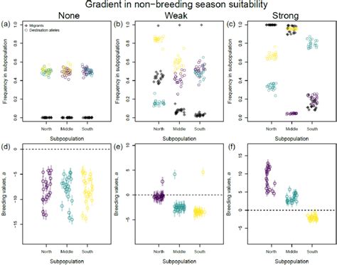 Metapopulation Genetic Structure After 10000 Years Of Evolution Where