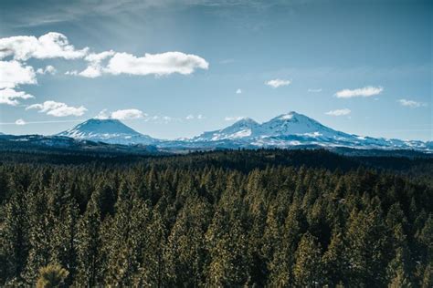 Explaining Feature Importance A Random Forest Example