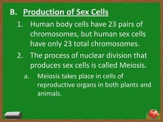 Chapter Section Notes PPT