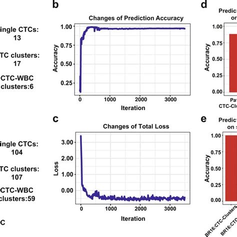 The Application Of CTC Tracer On A Complex Dataset A Data Structure Download Scientific