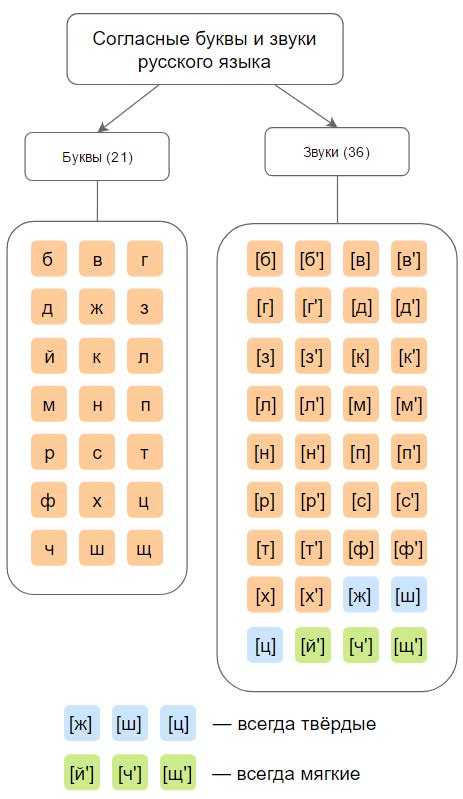 Согласные буквы и согласные звуки русского языка — схема таблица