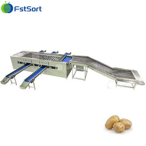 fstsort vegetable grading sorting machine potato sorter potato grader