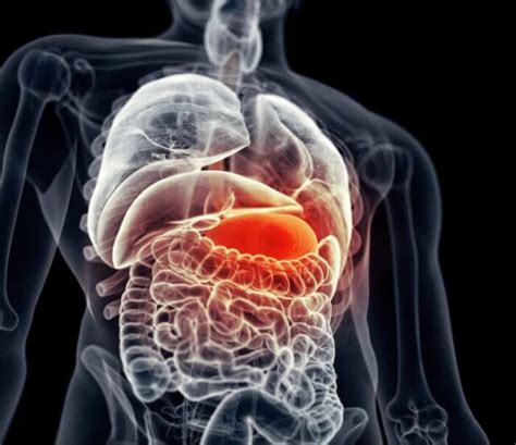 Upper Endoscopy Consultants In Gastro