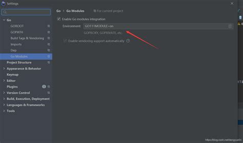Goland下cannot Resolve Directorygoland Cannot Resolve Directory Csdn博客