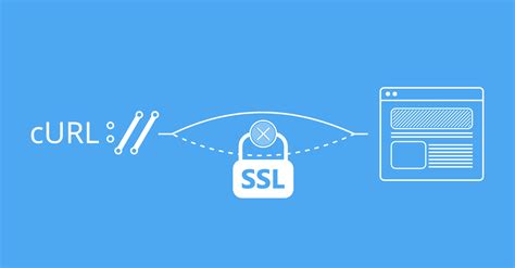 How To Ignore Curl Ssl Errors
