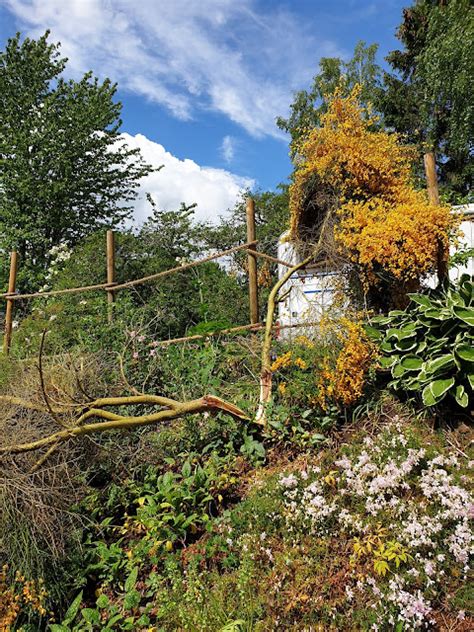 Charlottas Trädgård
