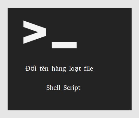 Shell Script Rename Đổi tên hàng loạt file trong thư mục VinaSupport