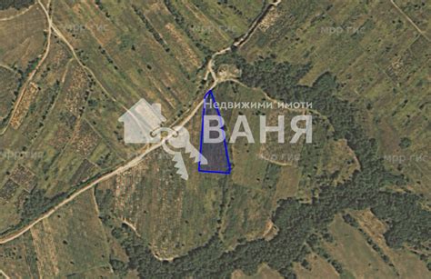 Земеделска земя в с Богдан Недвижими имоти Ваня