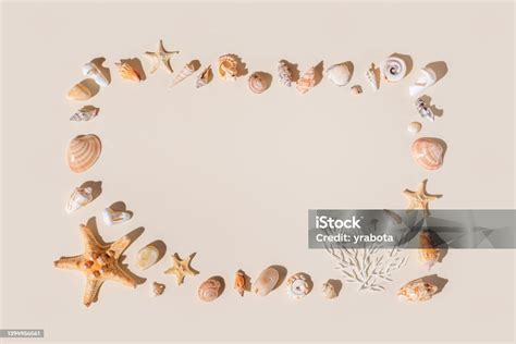 광선에 베이지 파스텔 배경에 그림자조개와 불가사리프레임 여름 방학 해상 패턴 천연 조개 바다 별 돌로 최소한의 평평한 평지 위쪽 보기 앵무조개에 대한 스톡 사진 및 기타